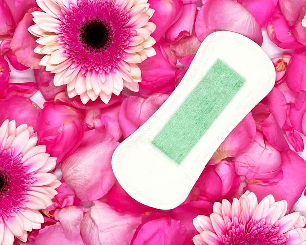 Alchemy Sanitary Pads and Panty Liners for Blissful Periods